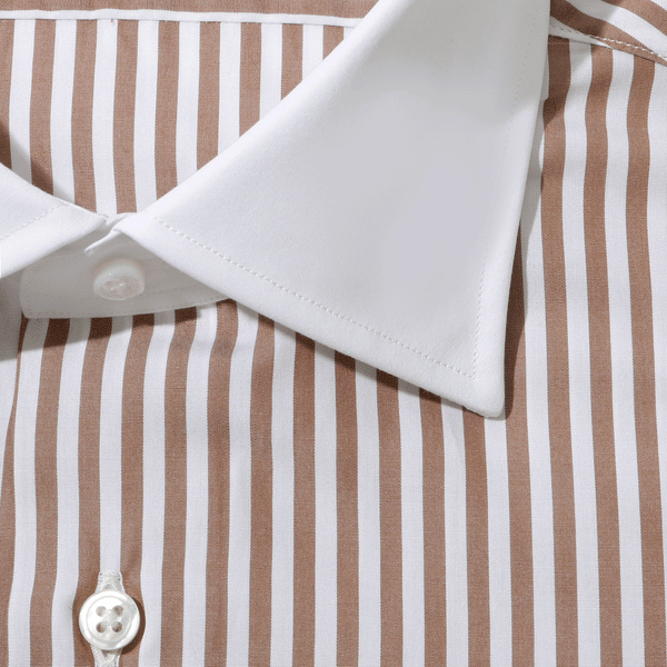 FIDELIO（セミワイド） 高番手ブロード - ARCODIO